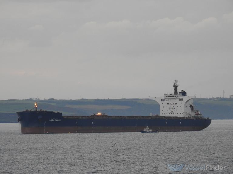 SEAFARER, Bulk Carrier - Details and current position - IMO 9686314 ...