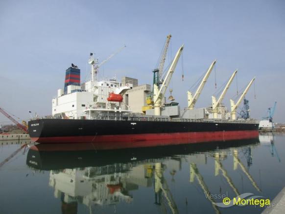 UNITY STAR, Bulk Carrier - Details and current position - IMO 9687148 ...