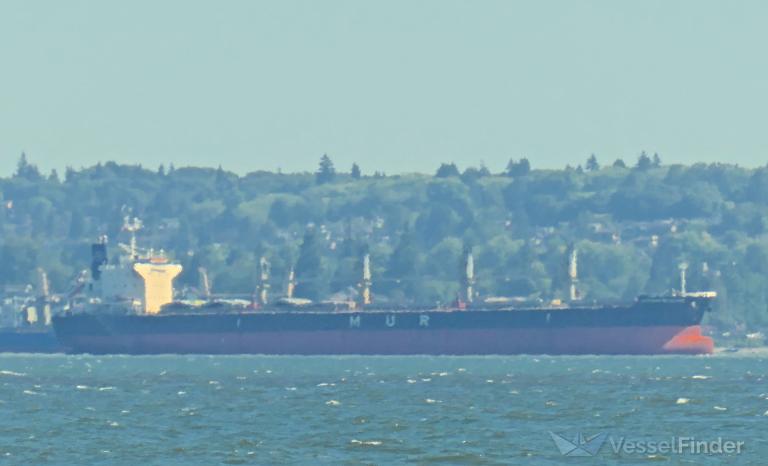 AFRICAN BATELEUR, Bulk Carrier - Details and current position - IMO ...