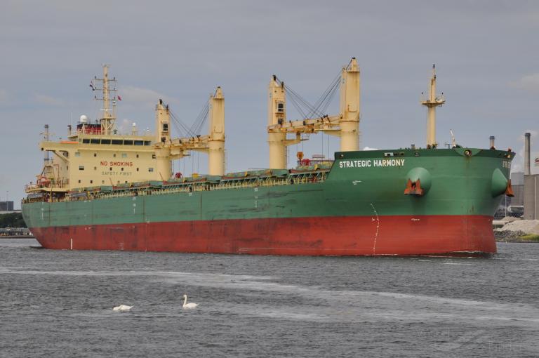 STRATEGIC HARMONY, Bulk Carrier - Details and current position - IMO ...