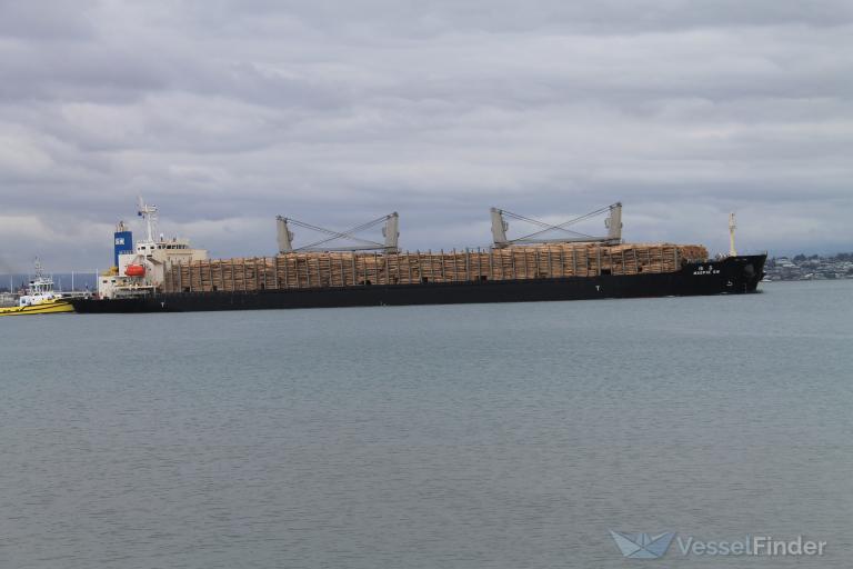 MAGPIE SW, Bulk Carrier - Details and current position - IMO 9692739 ...