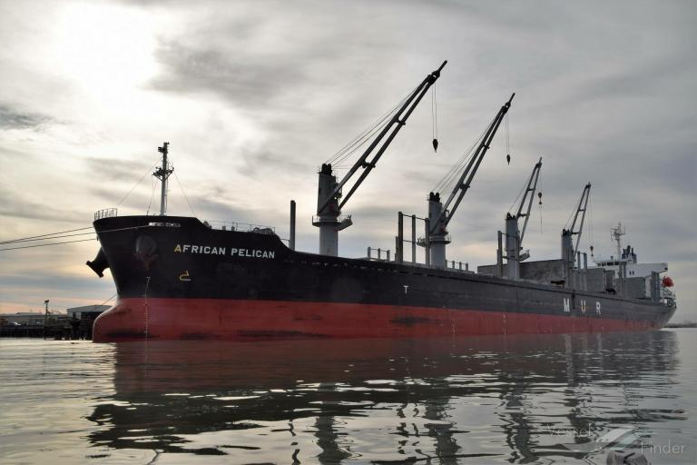 AFRICAN PELICAN, Bulk Carrier - Details and current position - IMO ...
