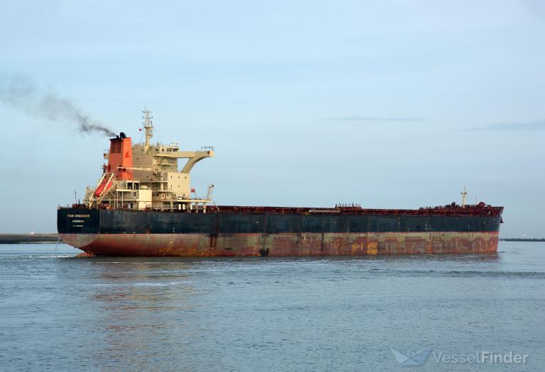 TRUE CRUSADER, Bulk Carrier - Details and current position - IMO ...