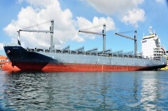 MERIDIAN, Container Ship - Scheepsdetails en huidige positie - IMO ...