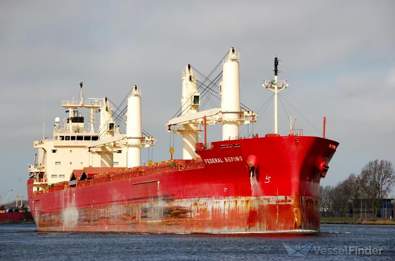FEDERAL BERING, Bulk Carrier - Details and current position - IMO ...