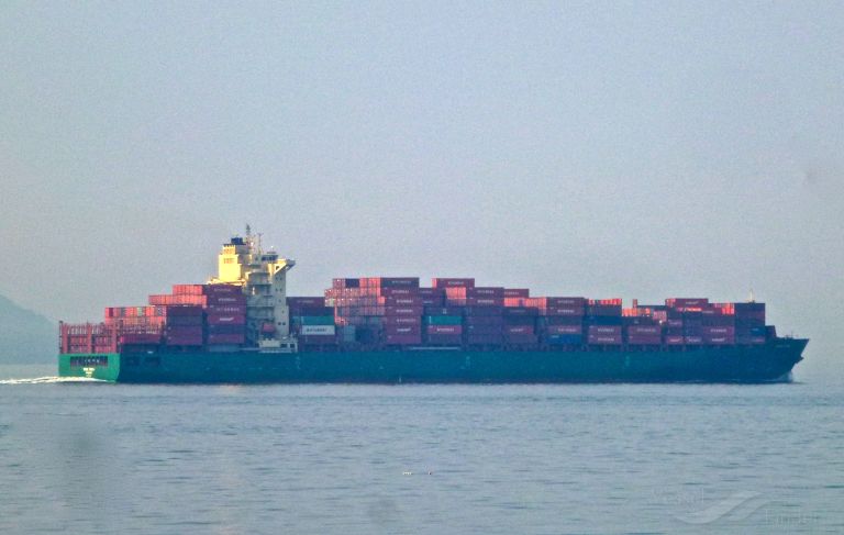 WIDE INDIA, Container Ship - Details and current position - IMO 9698252 ...