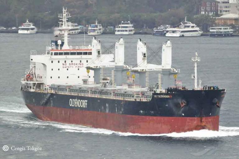 CERES ONE, Bulk Carrier - Details and current position - IMO 9698434 ...