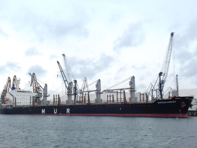 AFRICAN HARRIER, Bulk Carrier - Details and current position - IMO ...