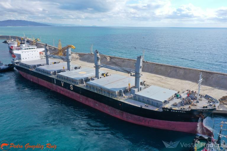 IVS KESTREL, General Cargo Ship - Details and current position - IMO ...