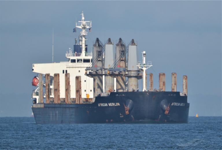 AFRICAN MERLIN, Bulk Carrier - Details and current position - IMO ...