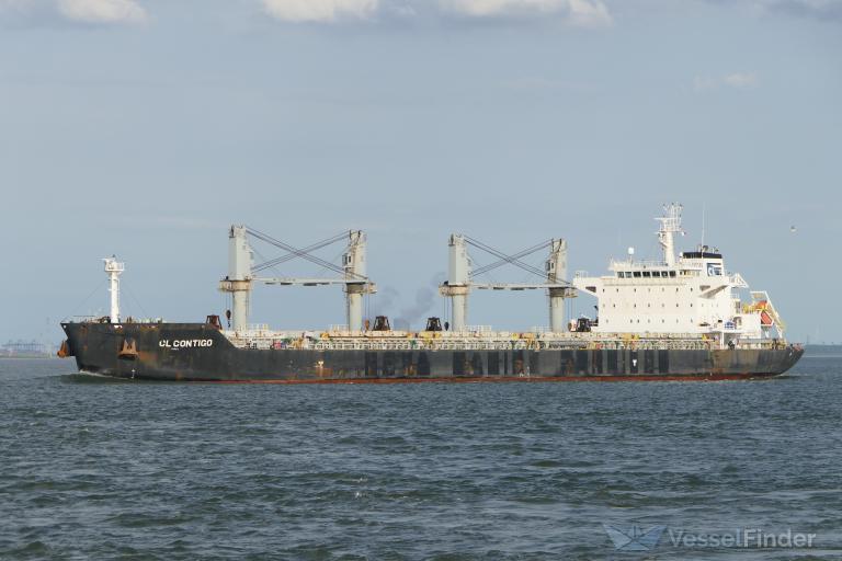 CL CONTIGO, Bulk Carrier - Details and current position - IMO 9703411 ...