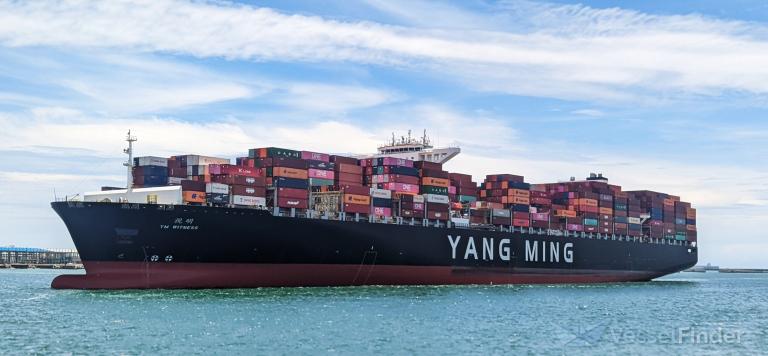YM WITNESS, Container Ship - Details and current position - IMO 9704609 ...