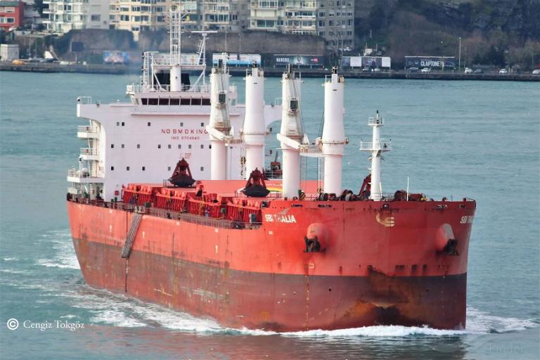 BBG LEADER, Bulk Carrier - Details and current position - IMO 9704843 ...