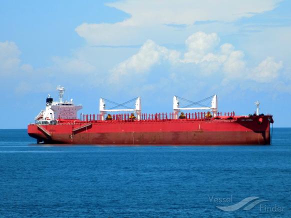 NOBLE ISLAND, Bulk Carrier - Details and current position - IMO 9705316 ...