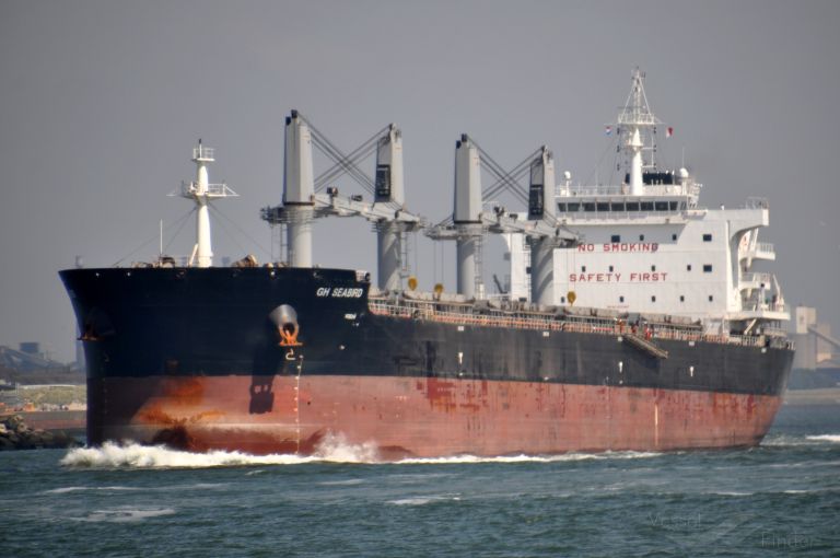 SEABIRD, Bulk Carrier - Details and current position - IMO 9707687 ...