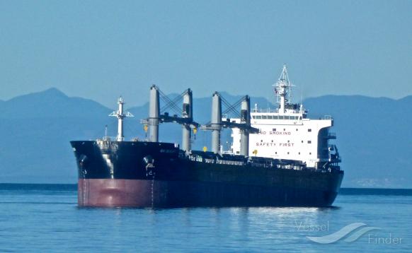 SEABIRD, Bulk Carrier - Details and current position - IMO 9707687 ...