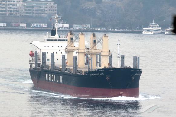 BUNUN FORTUNE, Bulk Carrier - Schiffsdaten und aktuelle Position - IMO ...