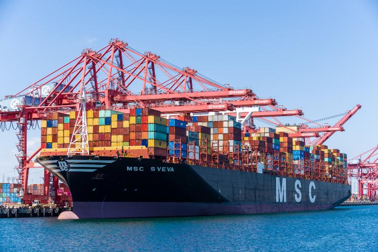 MSC SVEVA, Container Ship - Details and current position - IMO 9708681 ...
