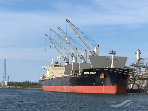 TOMINI SHAMAL, Bulk Carrier - Details and current position - IMO ...