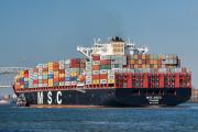 MSC LILY, Container Ship - Details and current position - IMO 9704960 ...