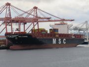 MSC LILY, Container Ship - Details and current position - IMO 9704960 ...