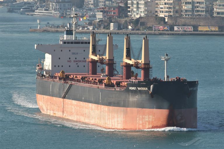 HONEY BADGER, Bulk Carrier - Details and current position - IMO 9711315 ...