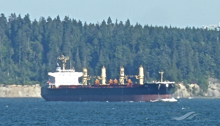 PMS ENZIAN, Bulk Carrier - Details and current position - IMO 9711420 ...
