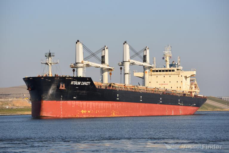 TOMINI SOLANO, Bulk Carrier - Details and current position - IMO ...