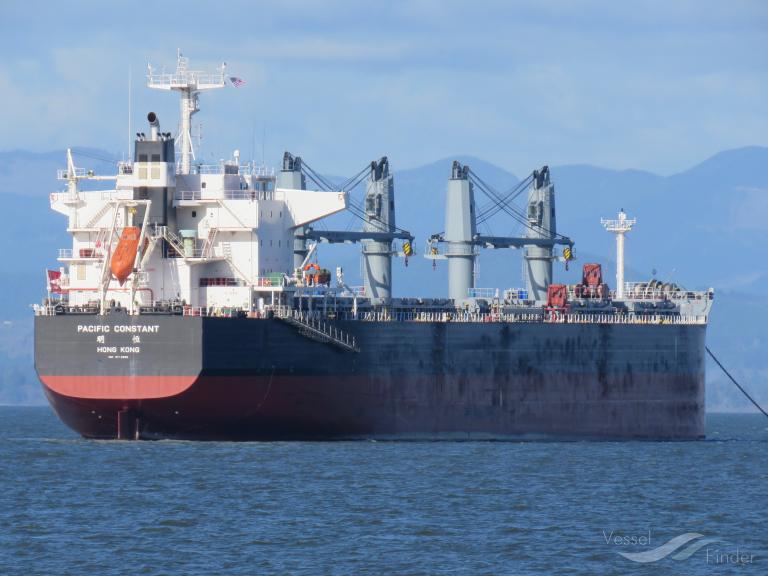 PACIFIC CONSTANT, Bulk Carrier - Details and current position - IMO ...