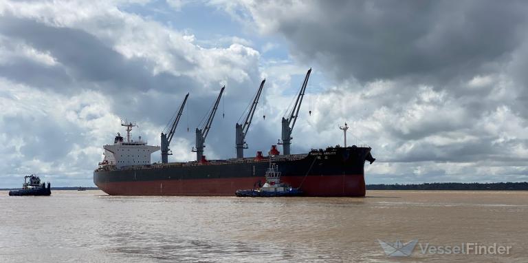 PACIFIC ABILITY, Bulk Carrier - Details and current position - IMO ...