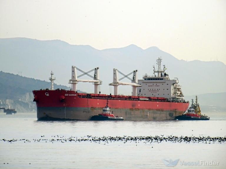 GENCO CONSTELLATION, Bulk Carrier - Details and current position - IMO ...