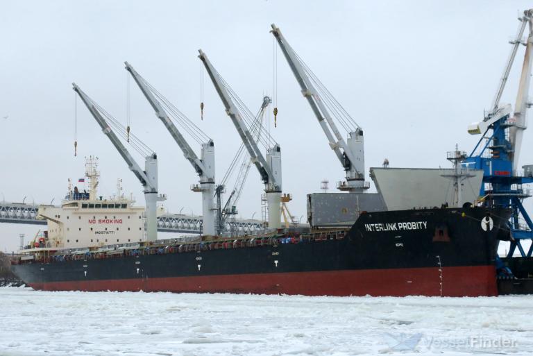 TOMINI PAMPERO, Bulk Carrier - Details and current position - IMO ...