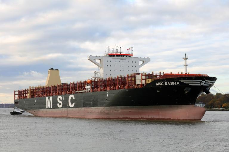 MSC SASHA, Container Ship - Gemi detayları ve güncel harita konumu ...