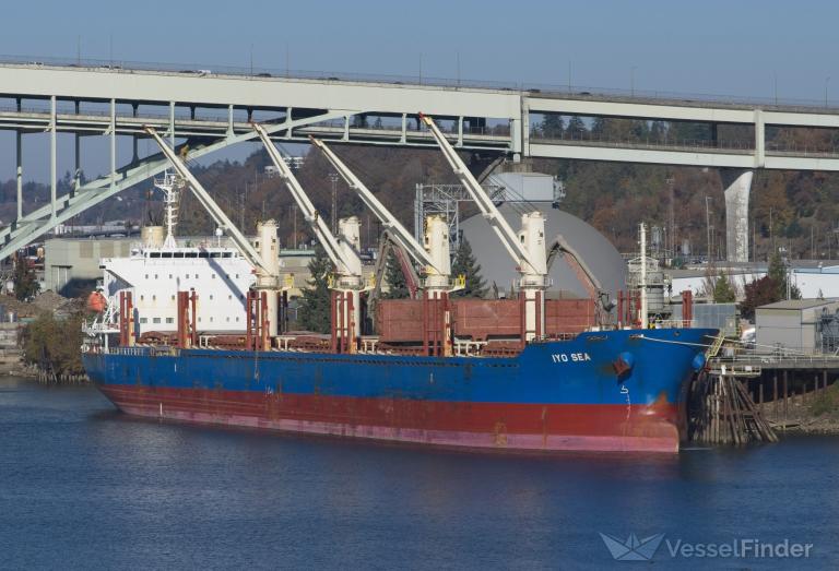 IYO SEA, Bulk Carrier - Details and current position - IMO 9722455 ...