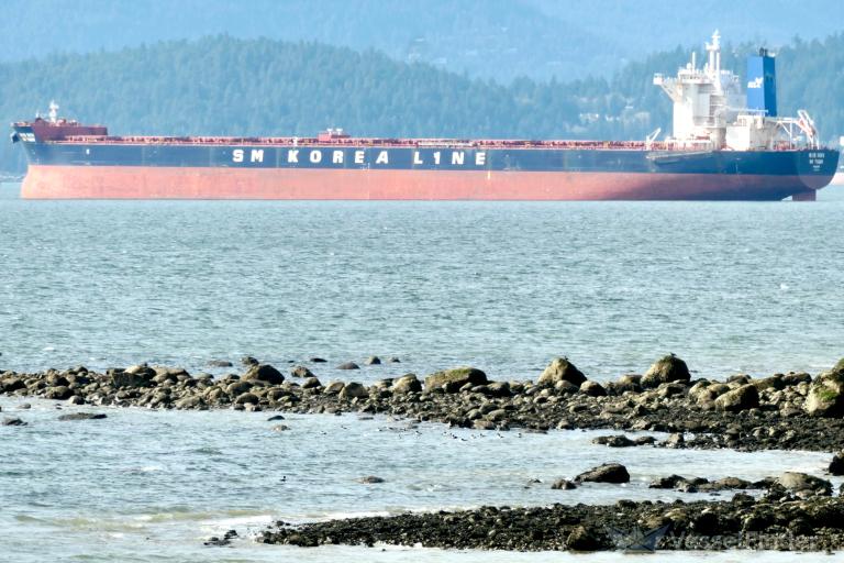 SM TIGER, Bulk Carrier - Details and current position - IMO 9723887 ...