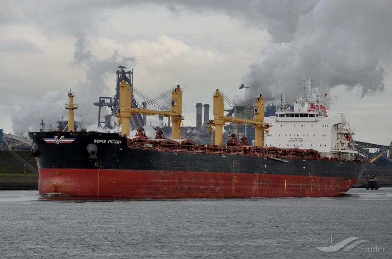 BELLIGHT, Bulk Carrier - Details and current position - IMO 9724776 ...
