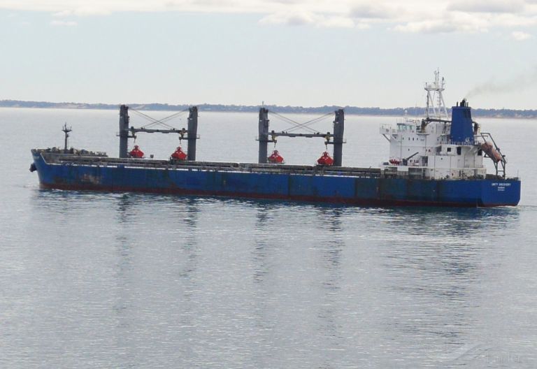 UNITY DISCOVERY, Bulk Carrier - Details and current position - IMO ...