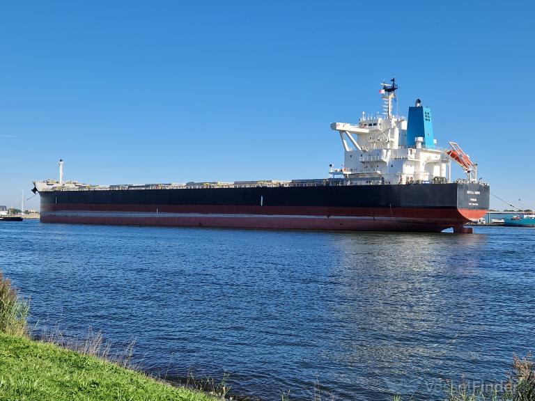 ROYAL HOPE, Bulk Carrier - Details and current position - IMO 9726762 ...