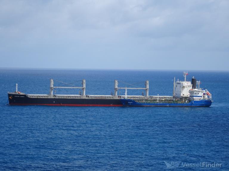 AFRICAN ARROW, Bulk Carrier - Details and current position - IMO ...