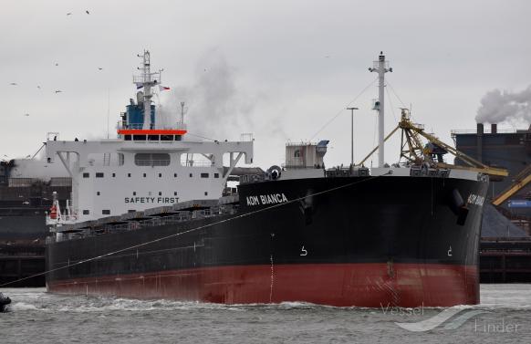 AOM BIANCA, Bulk Carrier - Details and current position - IMO 9728215 ...