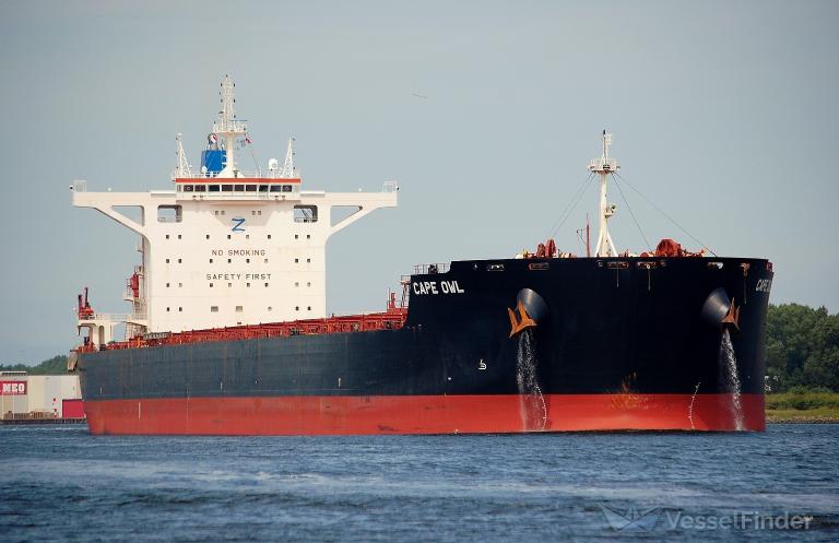 CAPE OWL, Bulk Carrier - Details and current position - IMO 9729219 ...