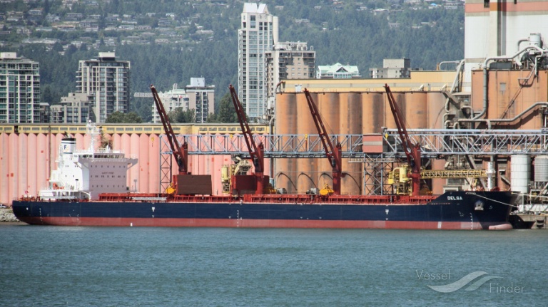 DELSA, Bulk Carrier - Details and current position - IMO 9729544 ...