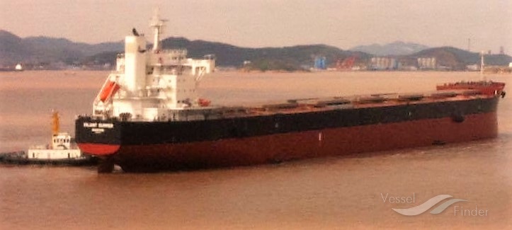 VALIANT SUMMER, Bulk Carrier - Details and current position - IMO ...