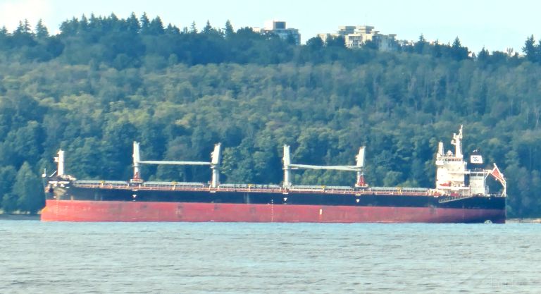 PACIFIC VICTORY, Bulk Carrier - Details and current position - IMO ...