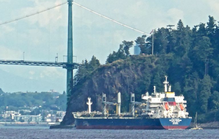 CEYLON PRINCESS, Bulk Carrier - Details and current position - IMO ...