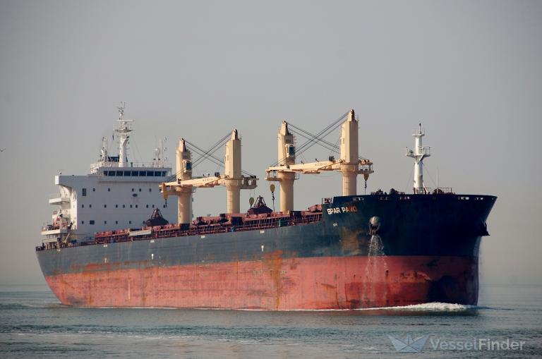 SPAR PAVO, Bulk Carrier - Details and current position - IMO 9735012 ...