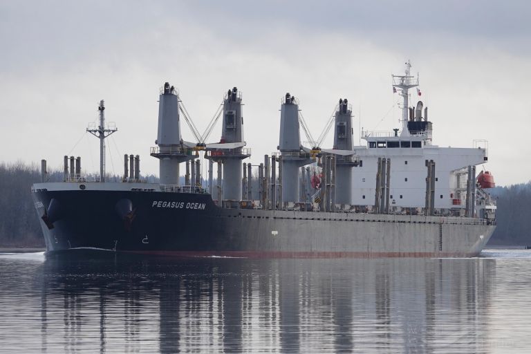 ES INTEGRITY, Bulk Carrier - Details and current position - IMO 9736963 - VesselFinder