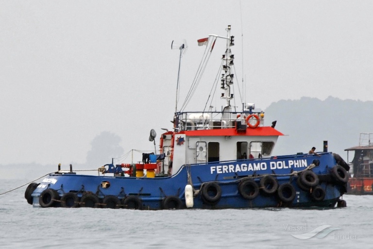 FERRAGAMO DOLPHIN, Tug - Details and current position - IMO 9737448 ...