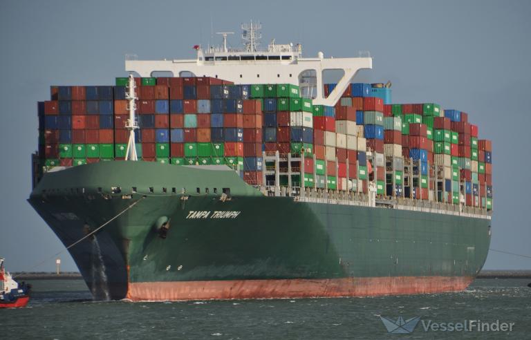TAMPA TRIUMPH, Container Ship - Details and current position - IMO ...