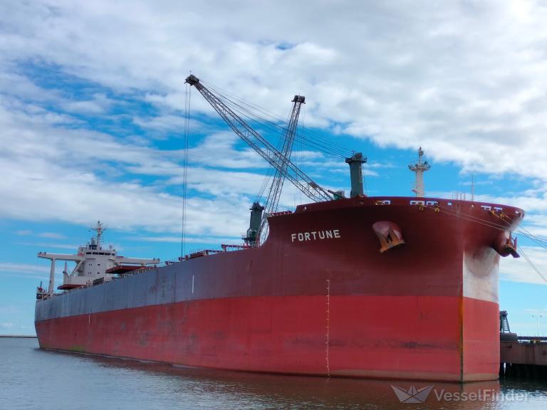 FORTUNE, Bulk Carrier - Details and current position - IMO 9737838 ...
